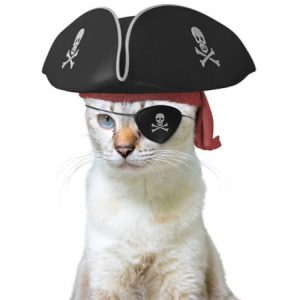 How to Make an Eye Patch for A Cat | DIY Pet Pirate Eye Patch