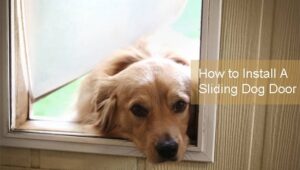 Comprehensive Guide on: How to Install A Sliding Dog Door